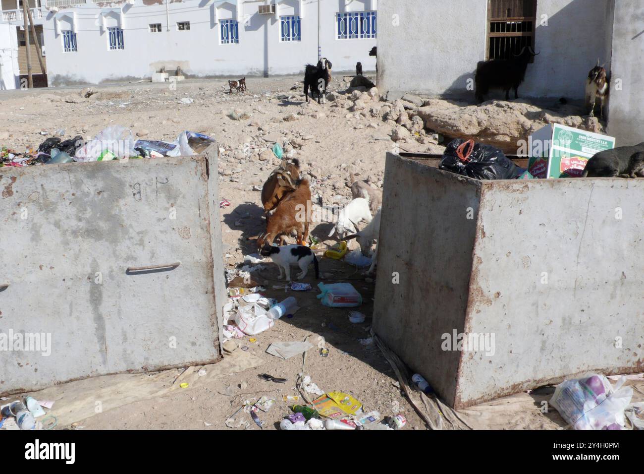 Waste, Sur (Oman Stock Photo - Alamy