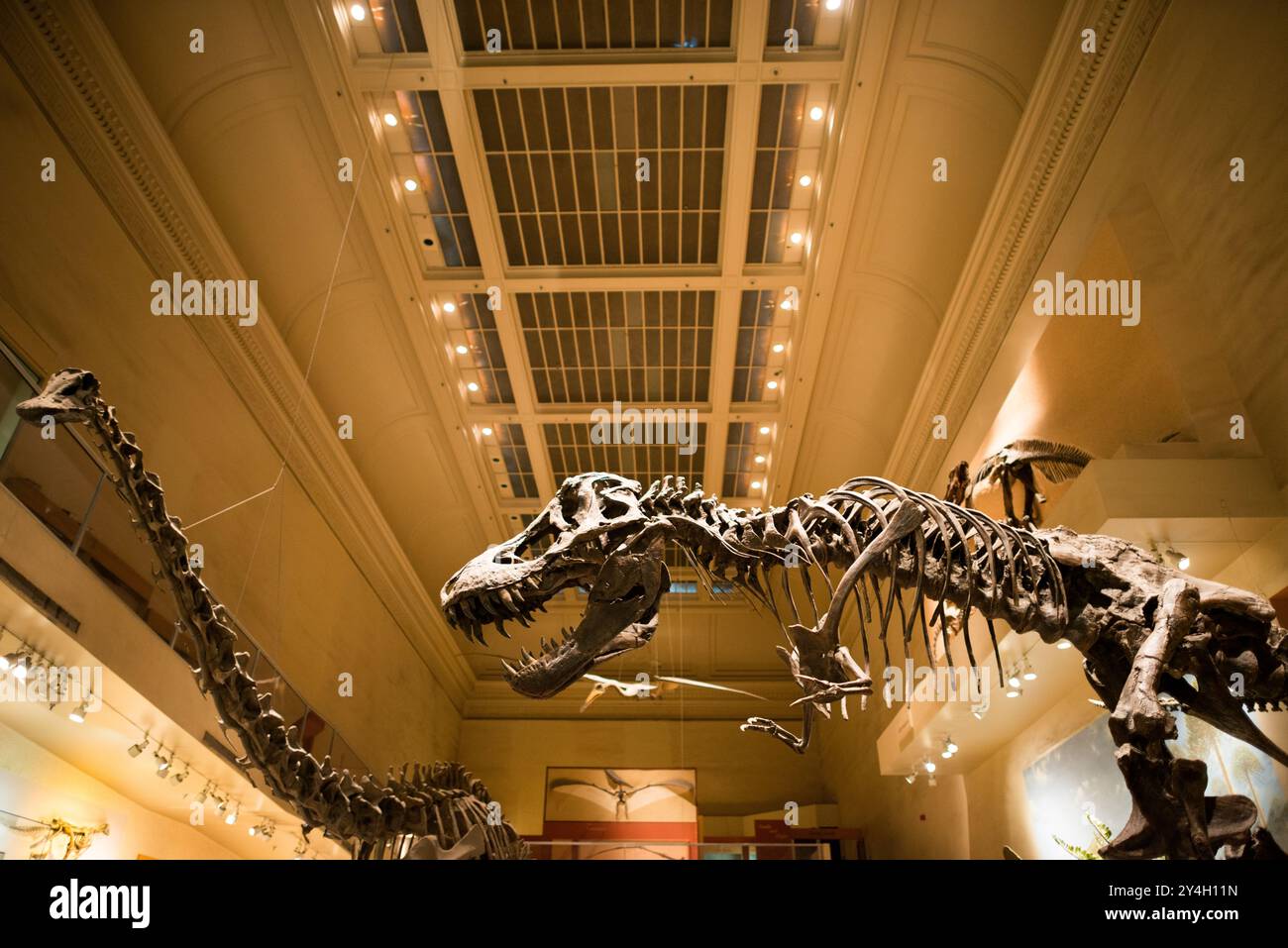 Dinosaur Hall Smithsonian National Museum Of Natural History Washington ...