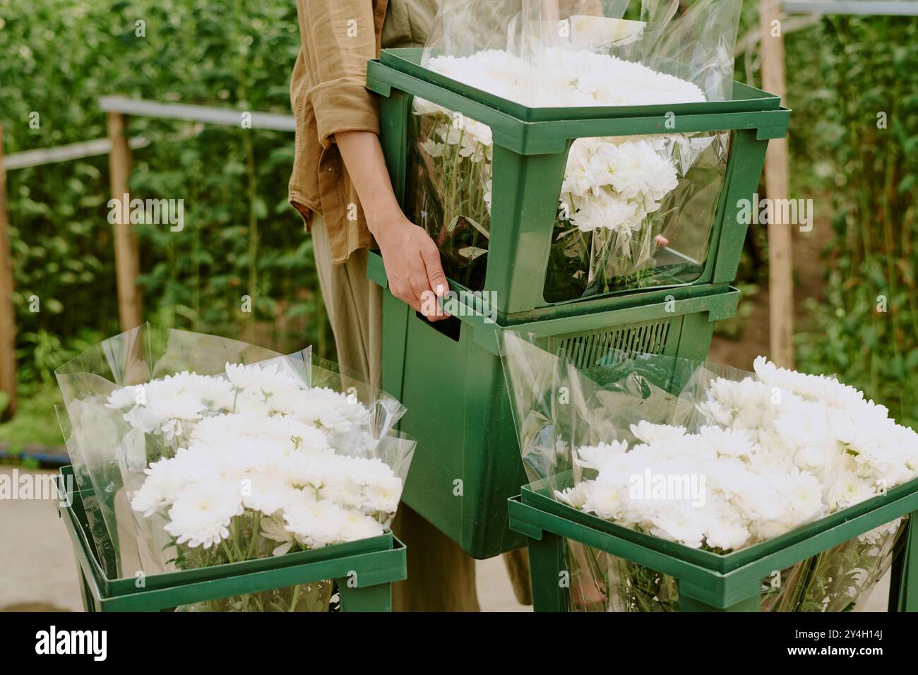 Arranging Flower Bouquets in Green Buckets at Garden Stock Photo - Alamy