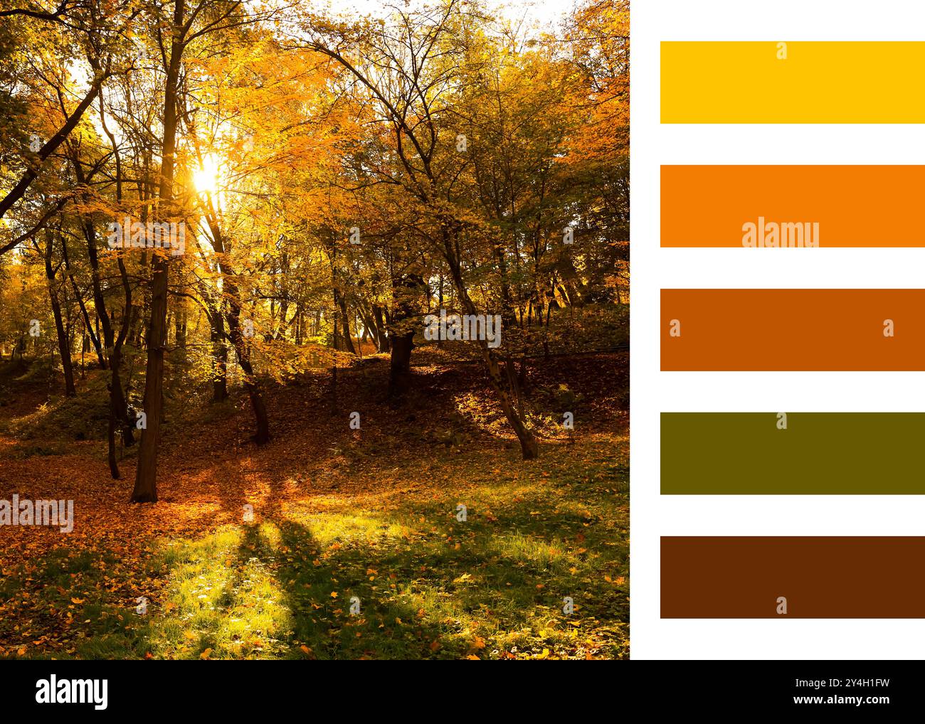 Shades of fall. Beautiful autumn landscape and matching color palette ...