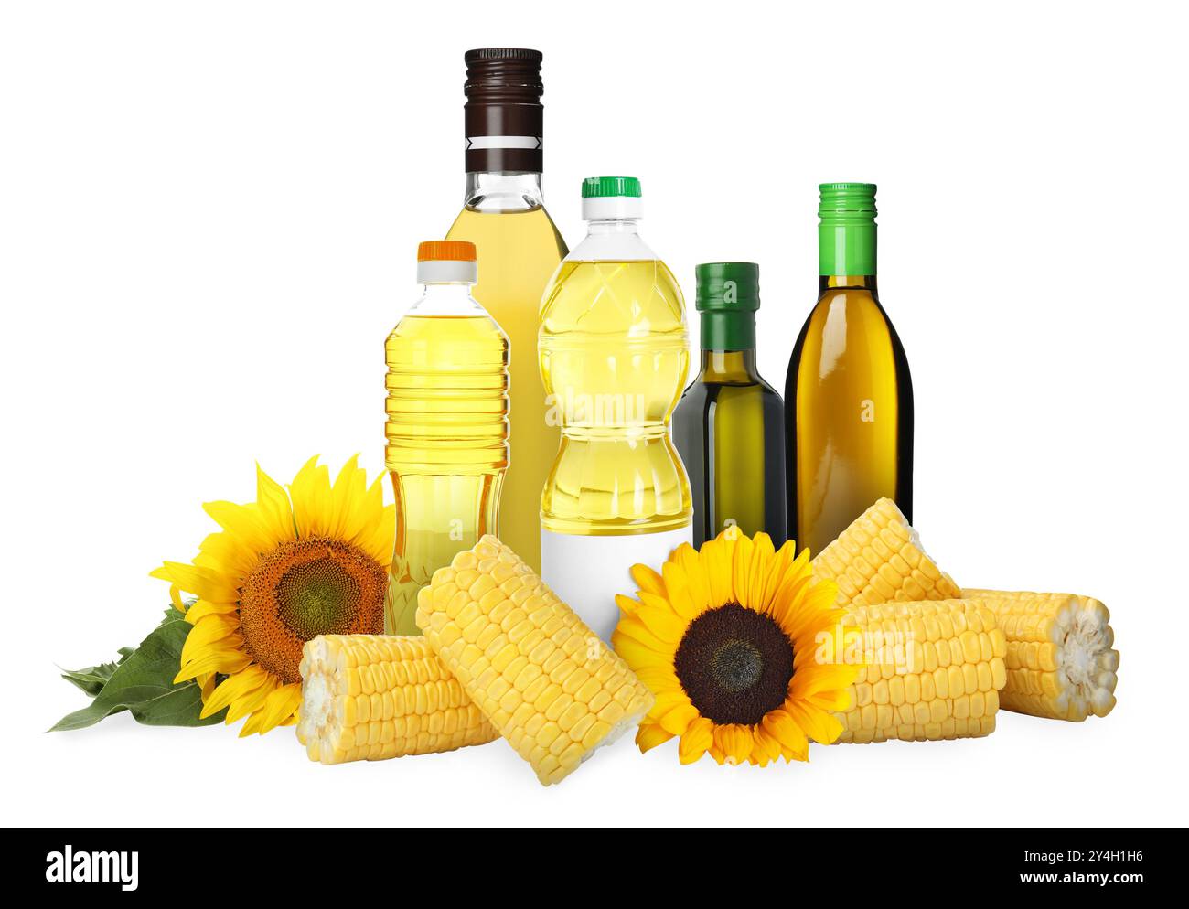 Vegetable fats. Set of different oils and ingredients isolated on white ...