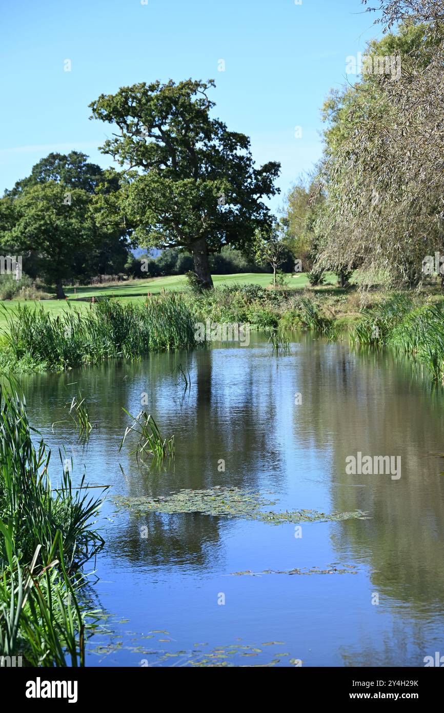 English Countryside scene with water Stock Photo - Alamy