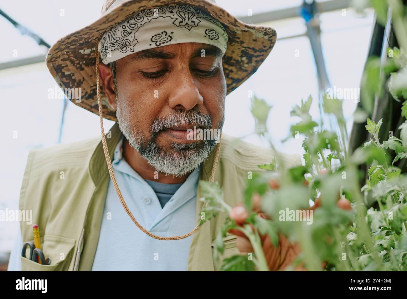 Observing Garden Plants in Greenhouse with Focus Stock Photo - Alamy