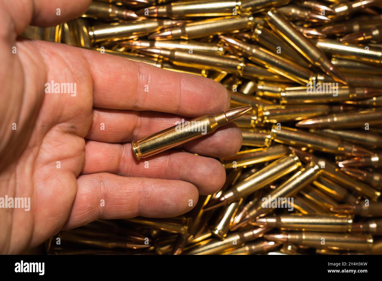 Military cartridge 5.56x45mm in a man's hand from firearms rifles Stock ...