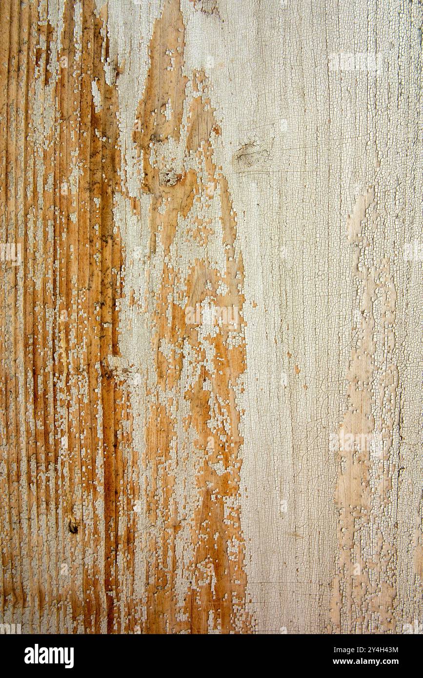 wooden background, wooden varnished background, cracked varnish Stock ...
