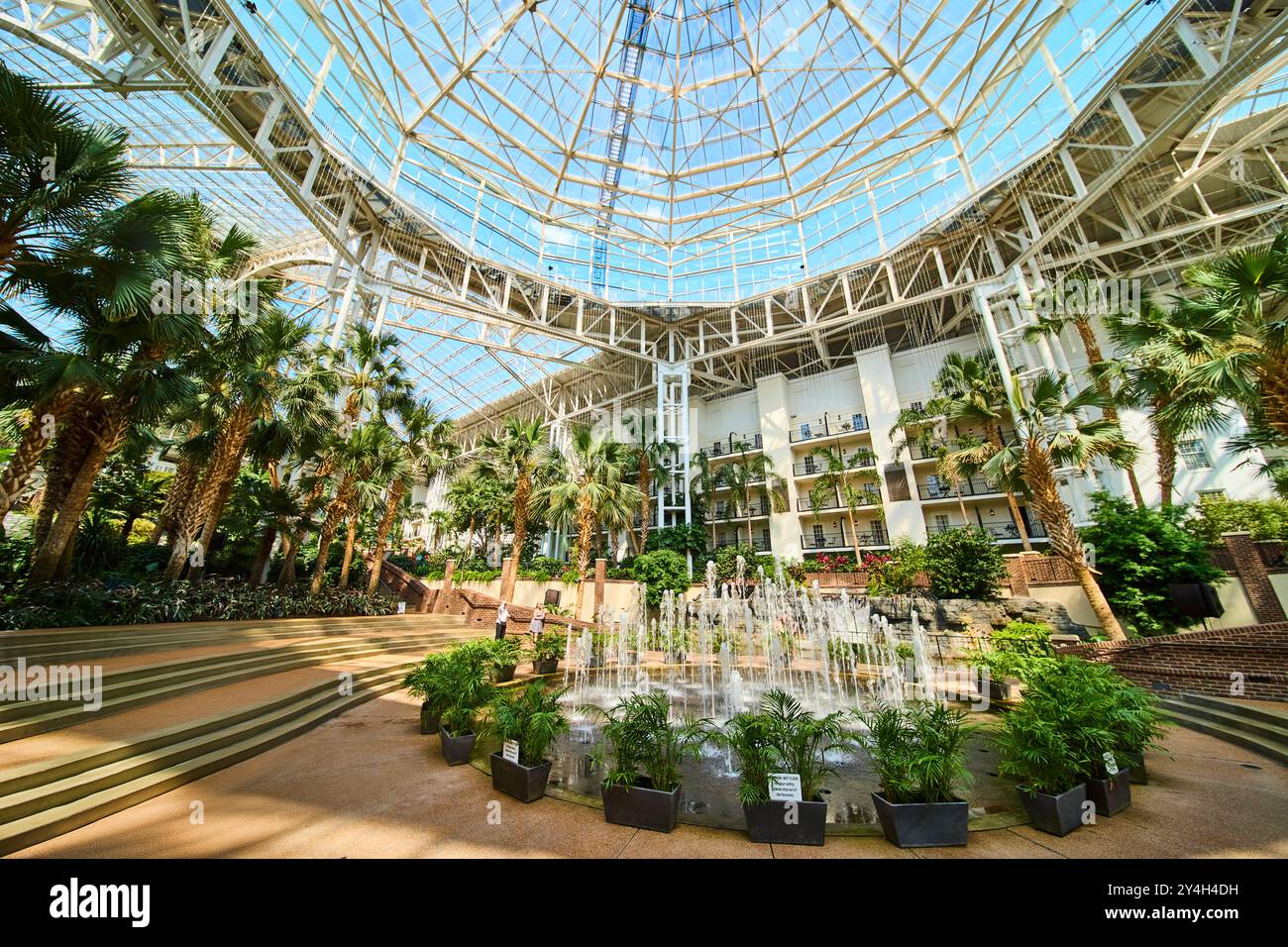 Botanical Atrium with Central Fountain and Glass Ceiling Eye-Level View ...