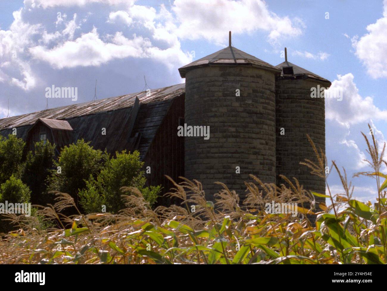 Large barn with silos in Michigan, USA, approx. 1998 Stock Photo - Alamy