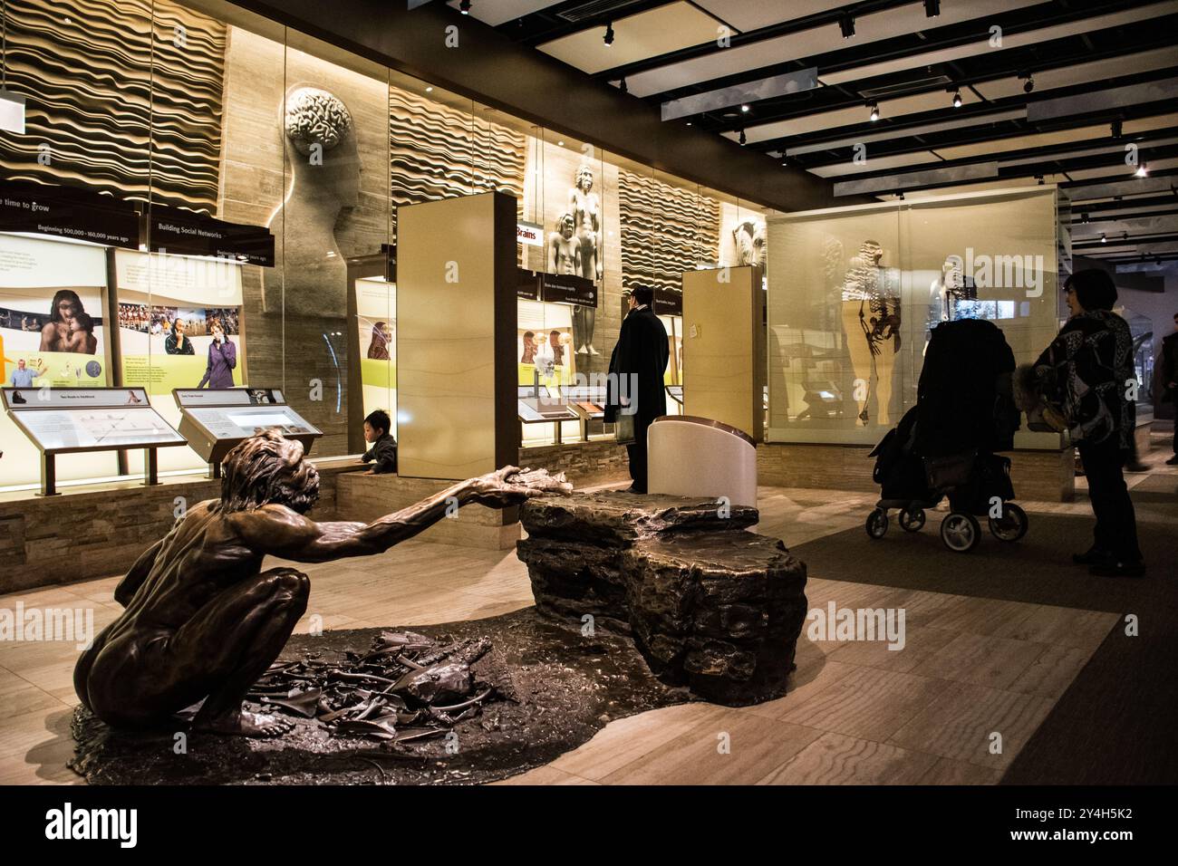 Human Origins Exhibit Smithsonian National Museum Washington DC ...