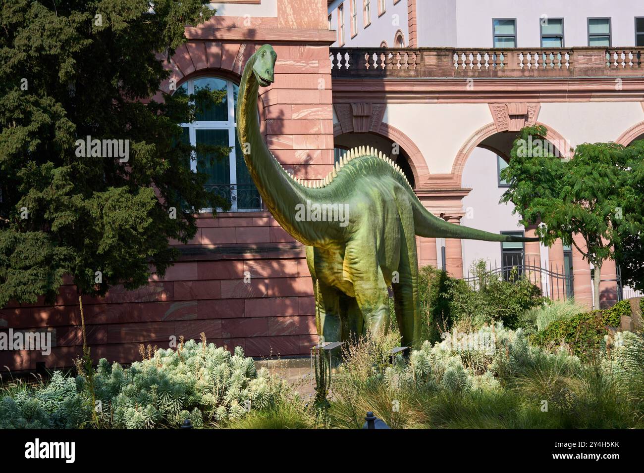 Diplodocus longus, Dinosaurier Modell, vor dem Senckenberg Museum ...