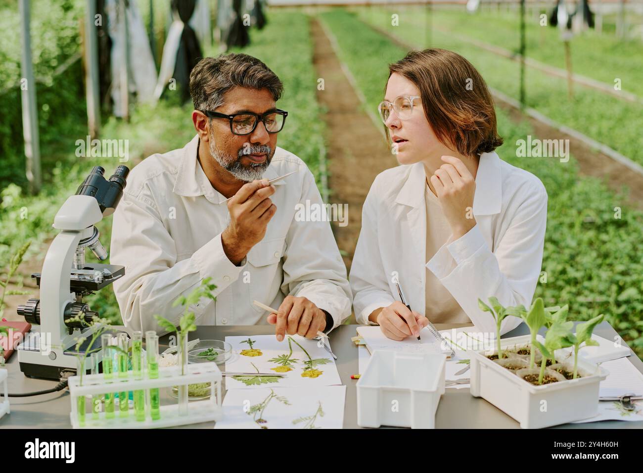 Scientists analyzing plant specimens in a laboratory setting with ...