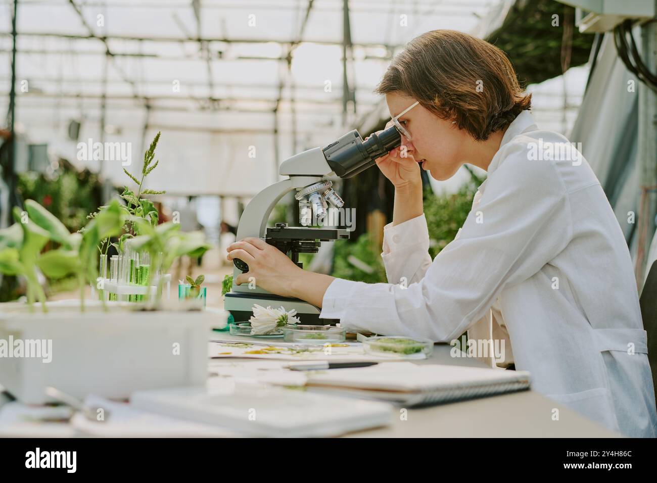 Scientific environment hi-res stock photography and images - Alamy