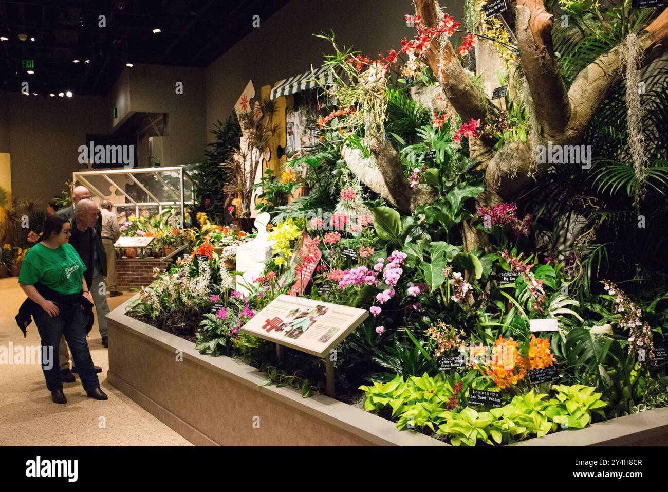 WASHINGTON DC, United States — A temporary orchid and flower exhibit on ...