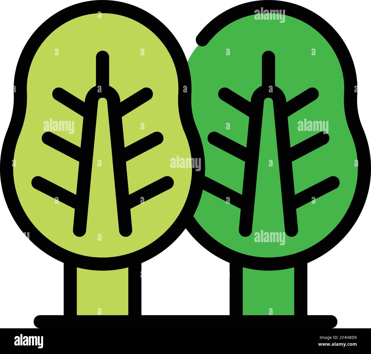 Green trees growing side by side with leaves on branches in filled ...