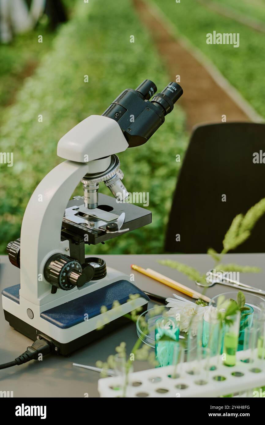 Using Microscope for Botanical Research in Laboratory Setting Stock ...