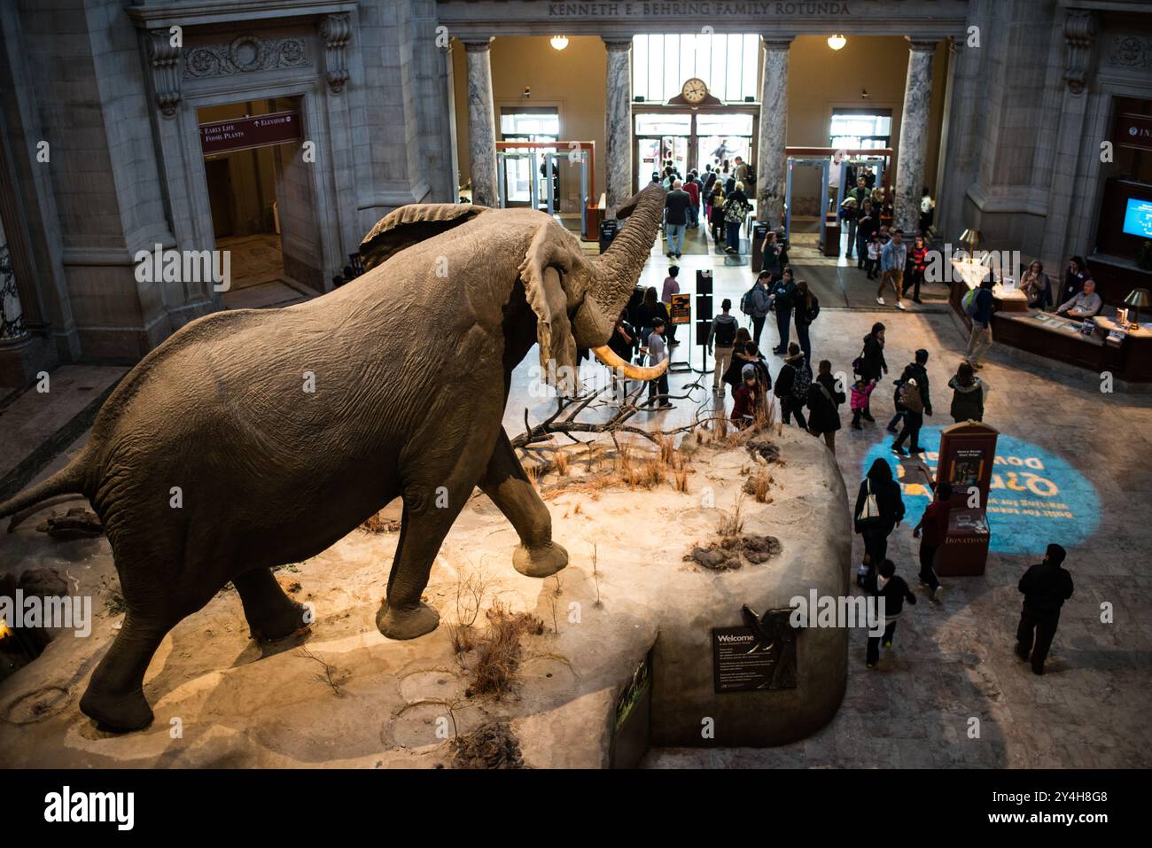 Smithsonian national museum of natural history rotunda hi-res stock ...