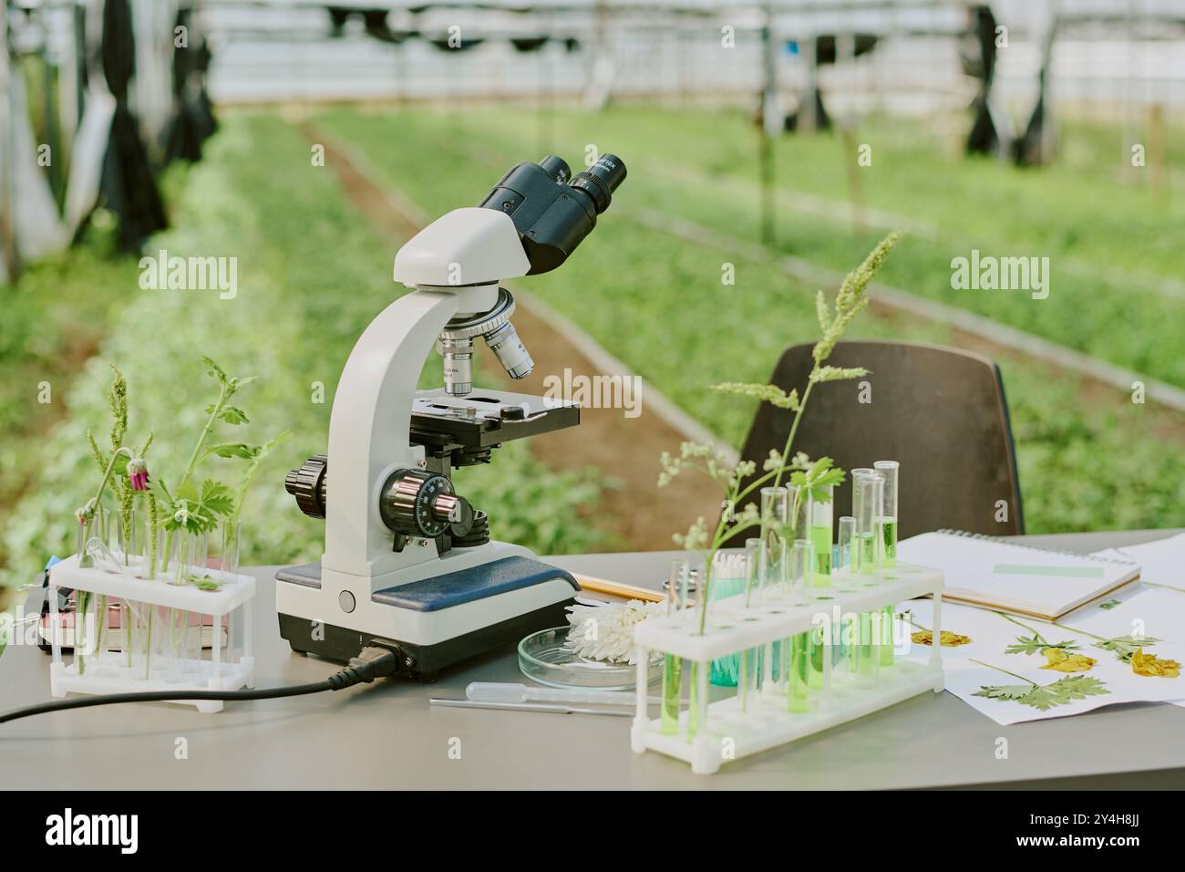 Conducting Plant Research in Modern Greenhouse Stock Photo - Alamy