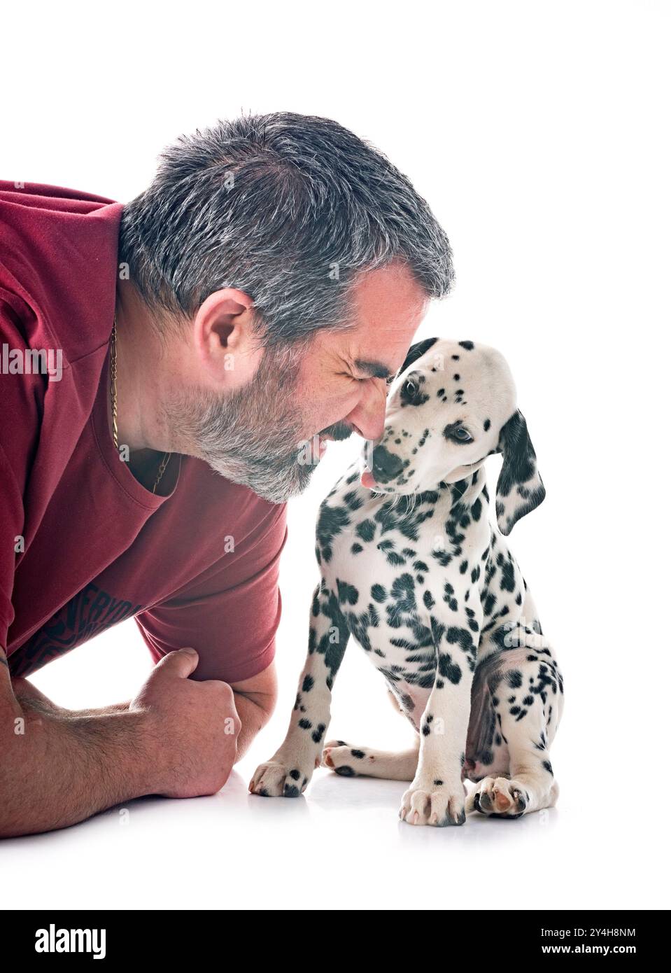 puppy dalmatian and man in front of white background Stock Photo - Alamy