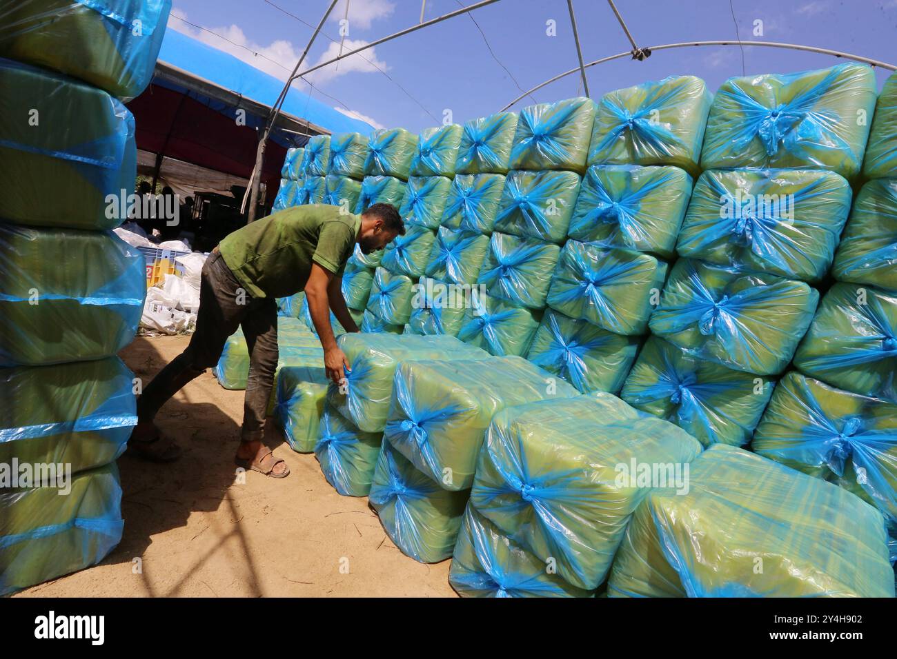 Hamouda Al-Ashi, owner of a plastic factory dedicated to making olive ...