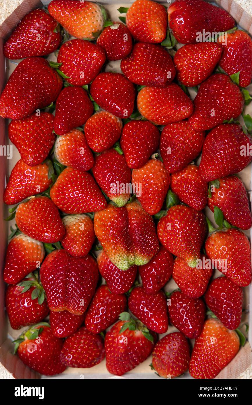 top view of a crate of strawberries Stock Photo - Alamy
