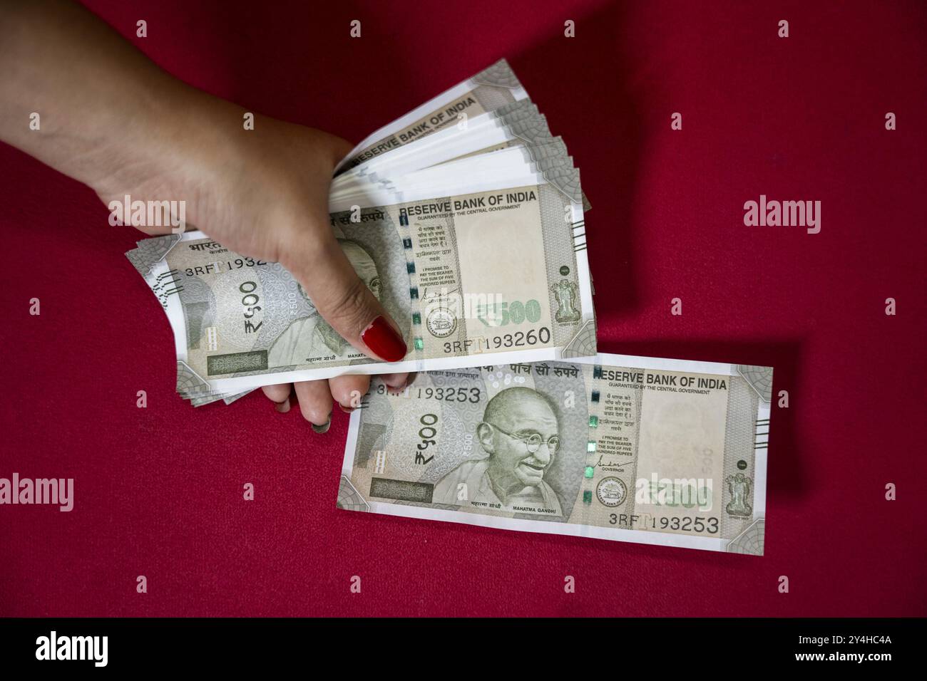 A person counts Indian 500 rupee currency bank note on a red background ...
