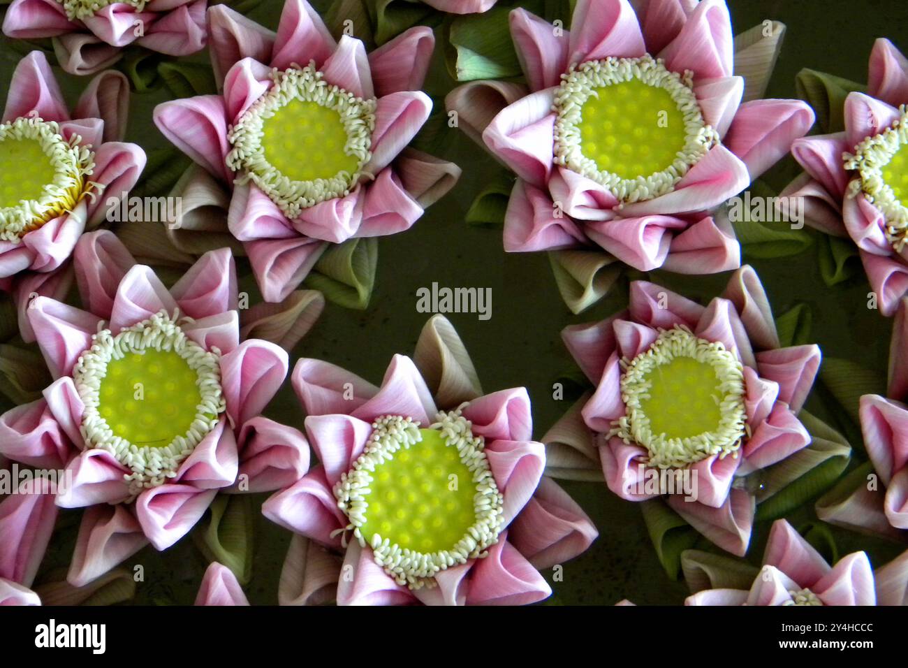 Traditional craft, Vietnam Stock Photo - Alamy