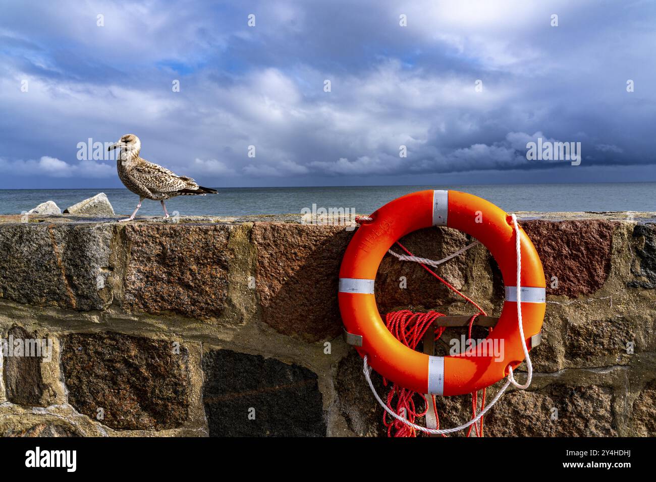 The city harbour of Sassnitz, island of Ruegen, pier, harbour dam, dark ...