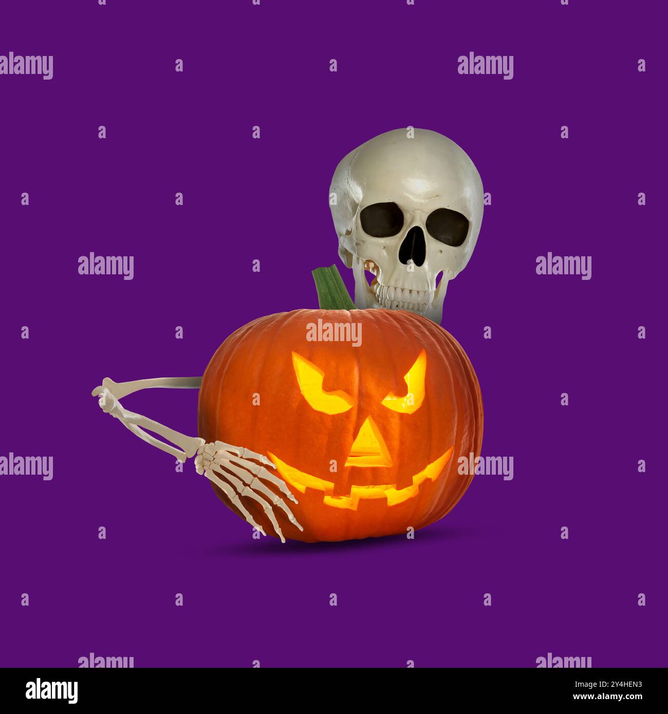 Scary skeleton hugging spooky jack o'lantern on purple background ...