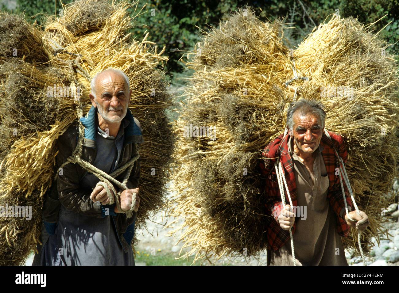 Asia. Pakistan. Farmers (gulmit Stock Photo - Alamy