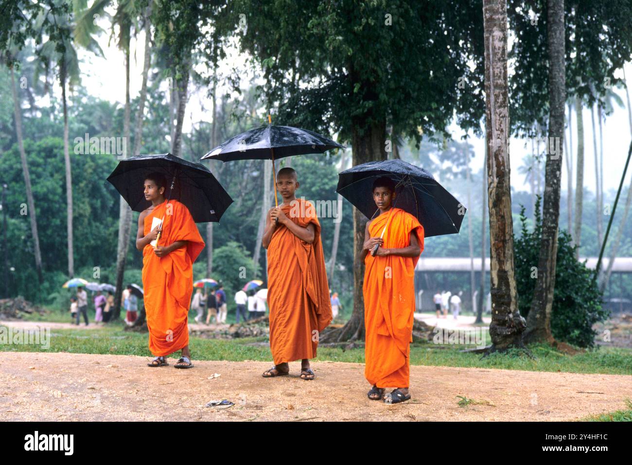 Asia. Sri Lanka. Young Monks In Pinnawela Stock Photo - Alamy