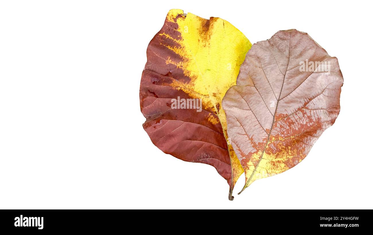 Outdoor visible Cut Out Stock Images & Pictures - Alamy