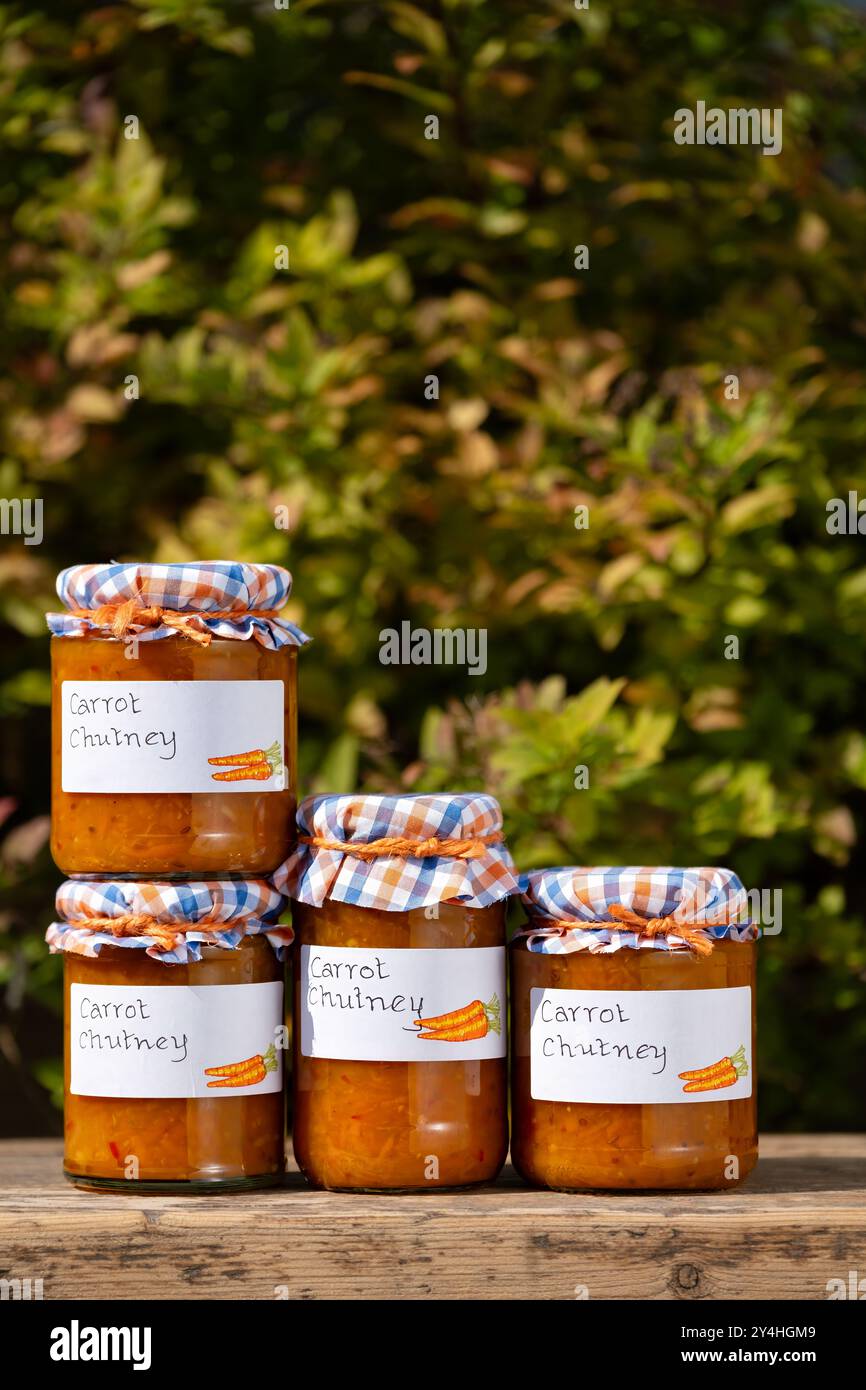 Uk. Homemade Carrot chutney stored in glass jars, labelled and finished ...