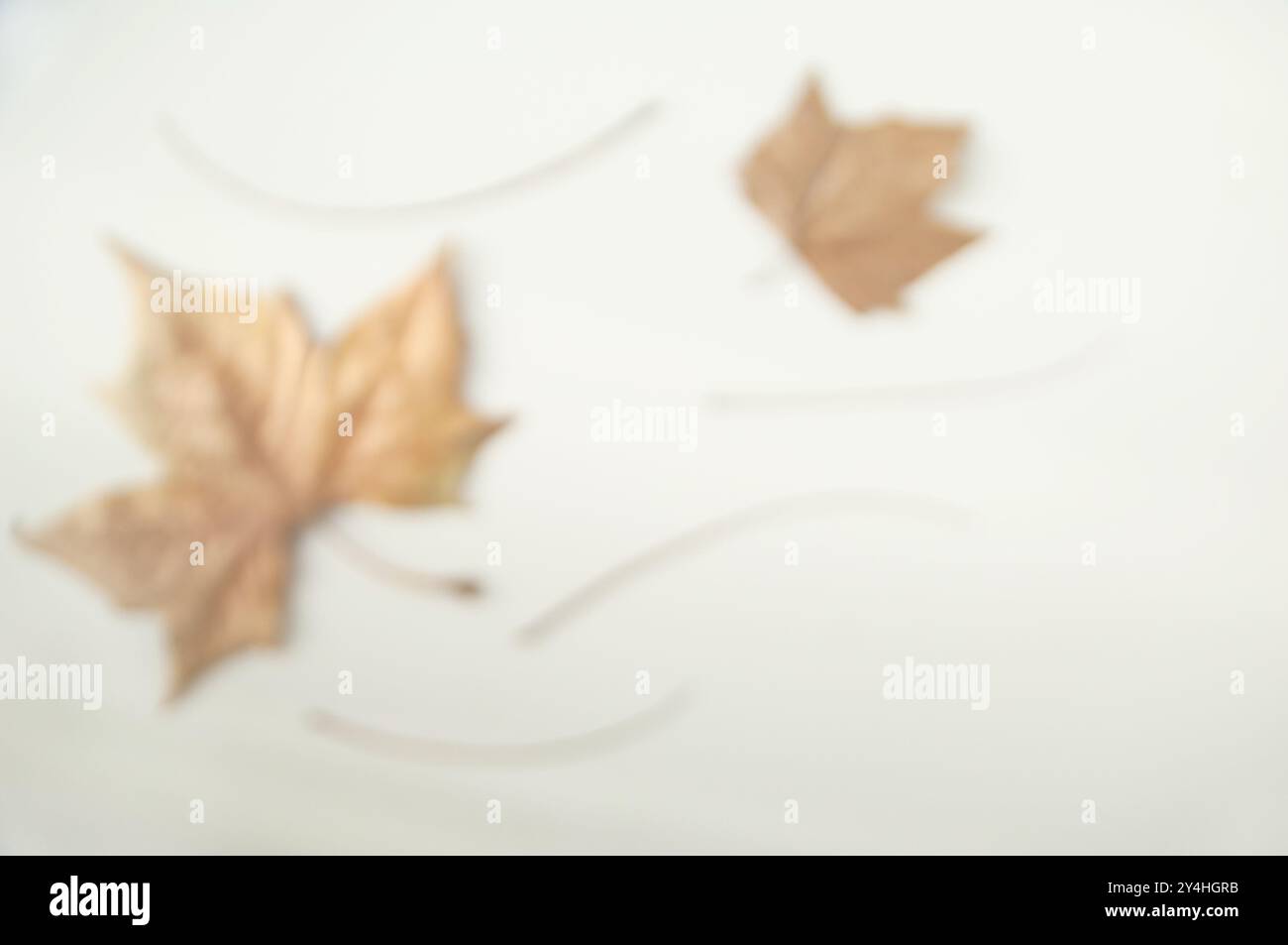 brown leaves and some twigs in wind blur composition on white ...