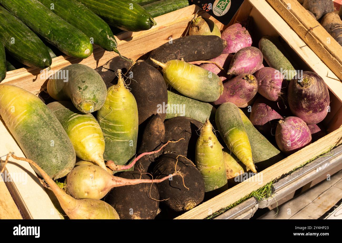 Radish on market basket hi-res stock photography and images - Alamy