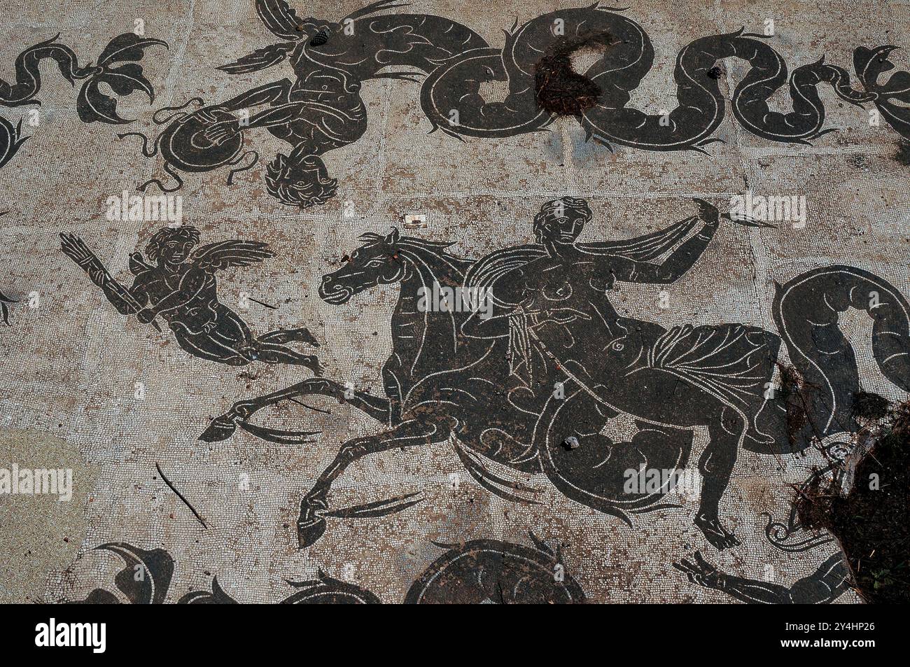 Triton with a snake-like tail (rather than the usual fish tail) plays a ...