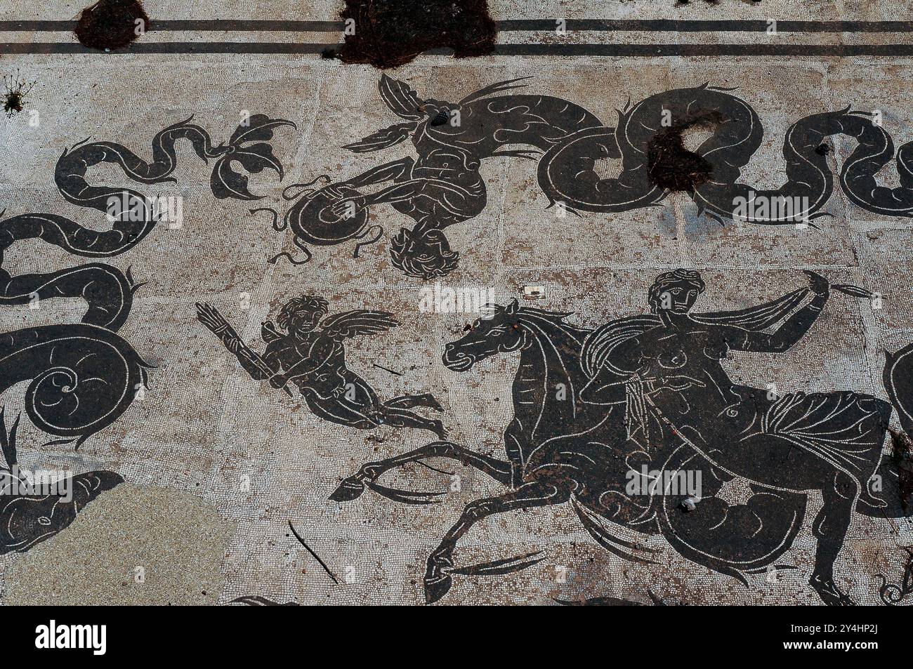 Triton with a snake-like tail (rather than the usual fish tail) plays a ...