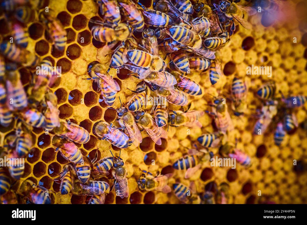 Clear educational perspective hi-res stock photography and images - Alamy