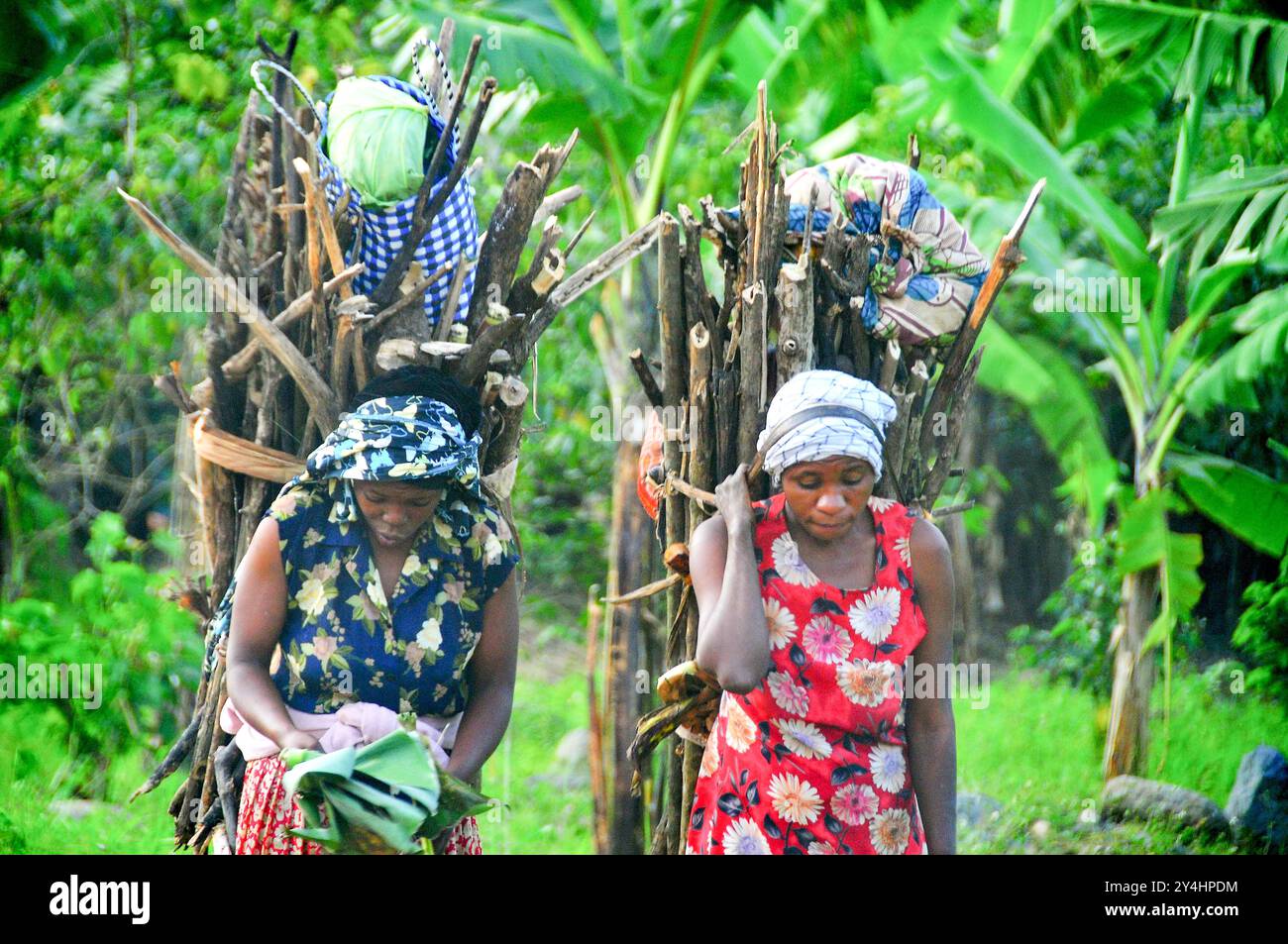 Konjo tribe hi-res stock photography and images - Alamy