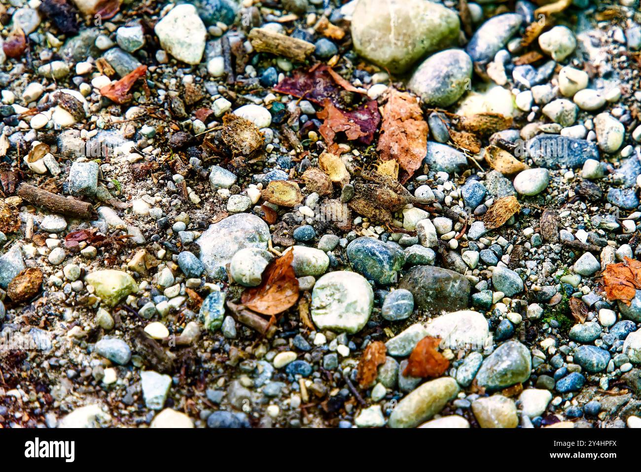 Close-up of pebbles in different sizes, colors and structures with wood ...