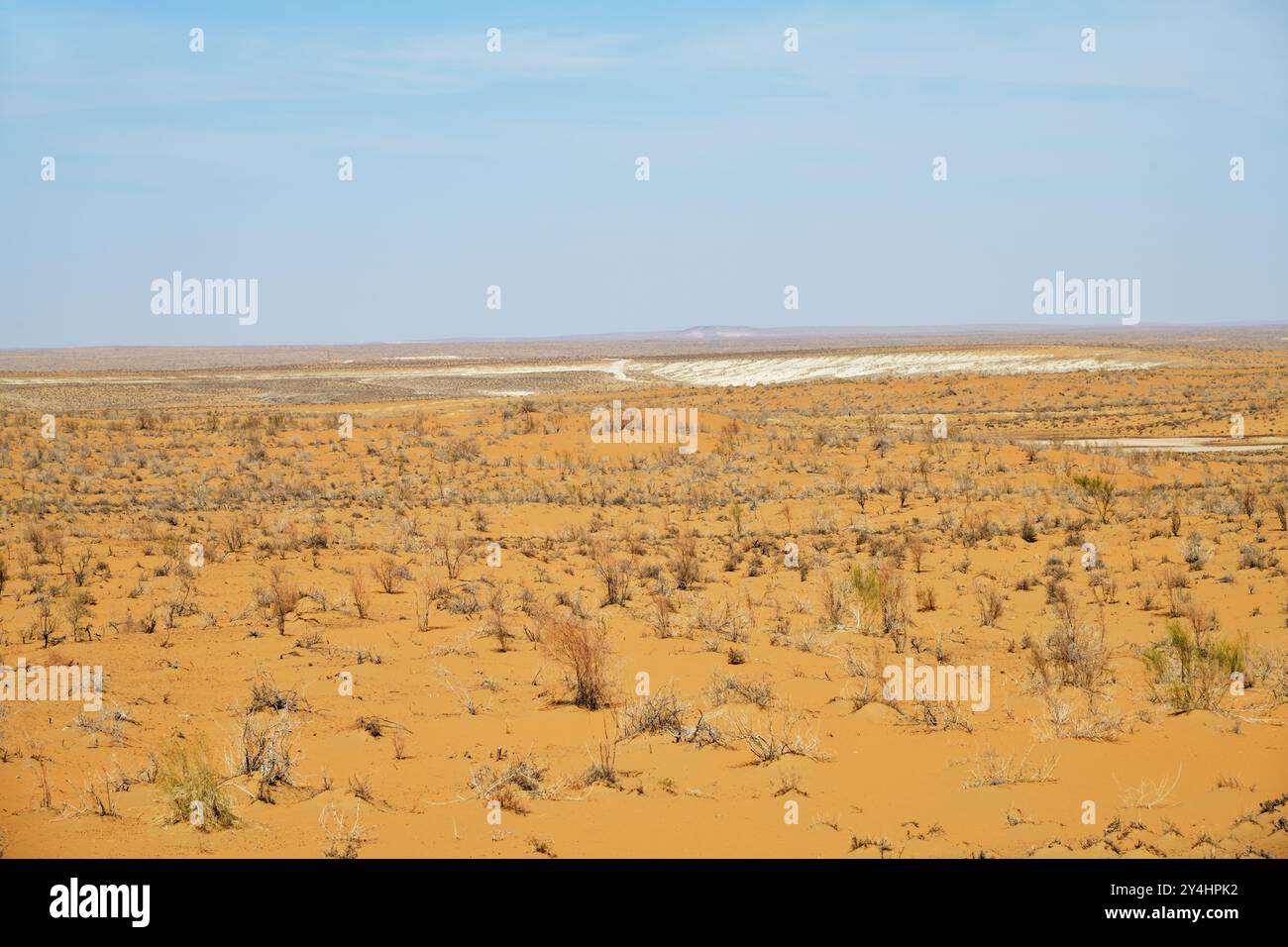 landscape of Kyzyl Kum desert. Uzbekistan Stock Photo - Alamy