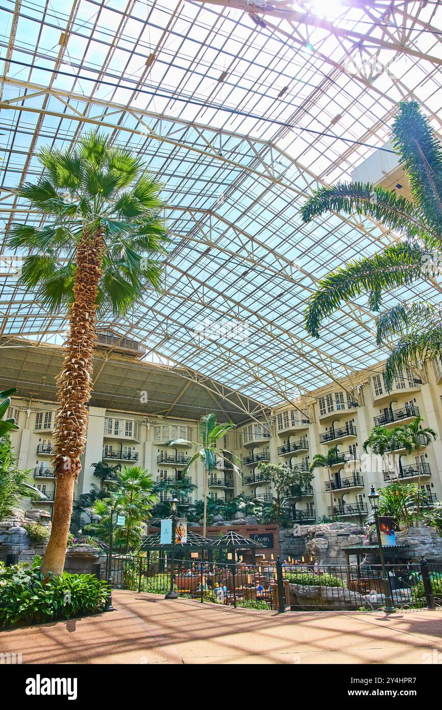 Tropical Atrium with Glass Ceiling and Palm Tree Eye Level View Stock ...