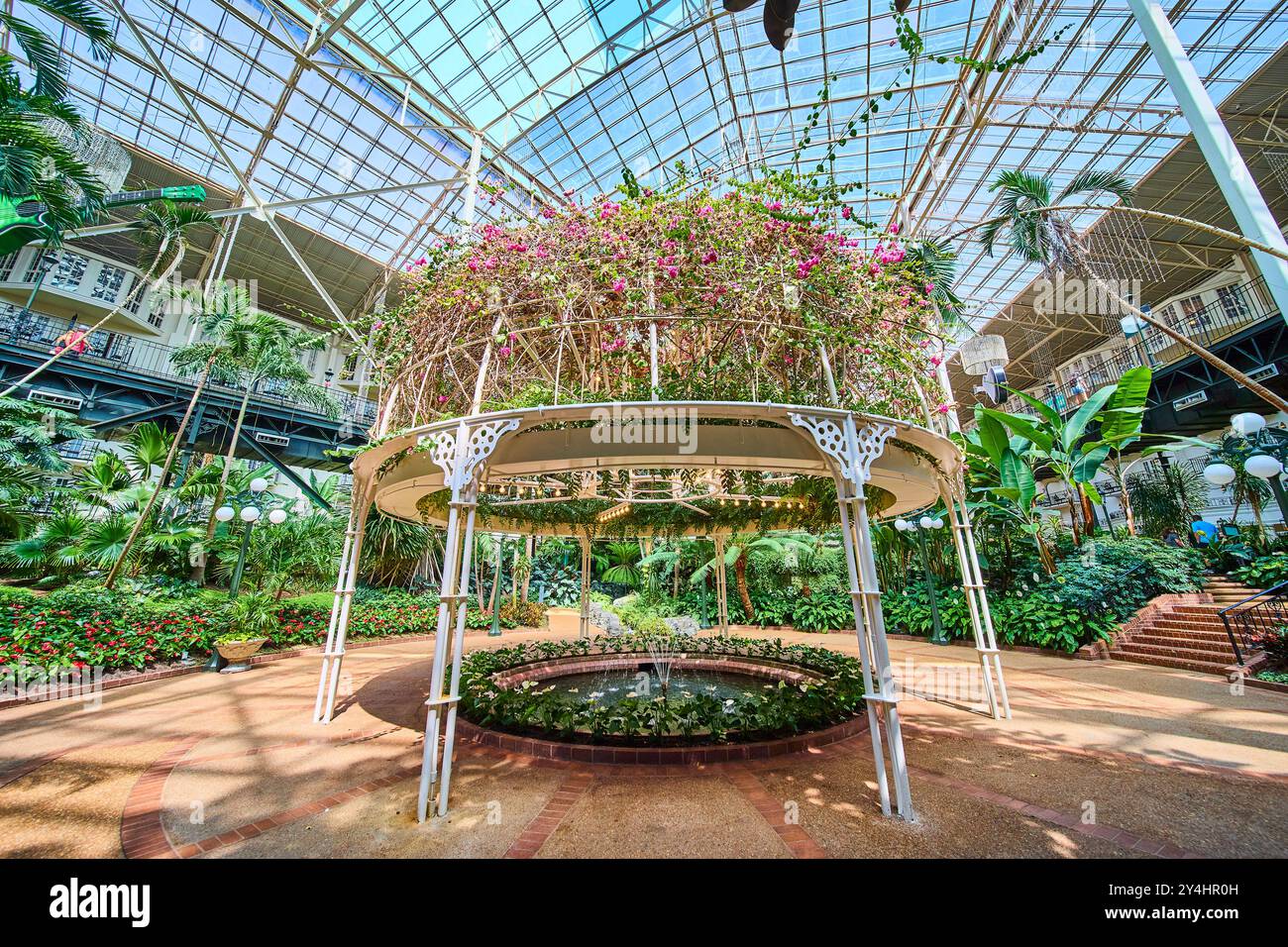 Indoor Garden Oasis with Climbing Plants and Pond Eye-Level View Stock ...