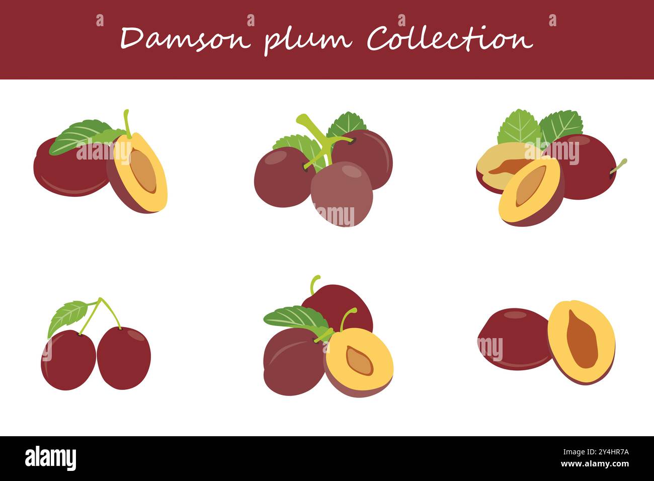 Ripe purple damson Stock Vector Images - Alamy