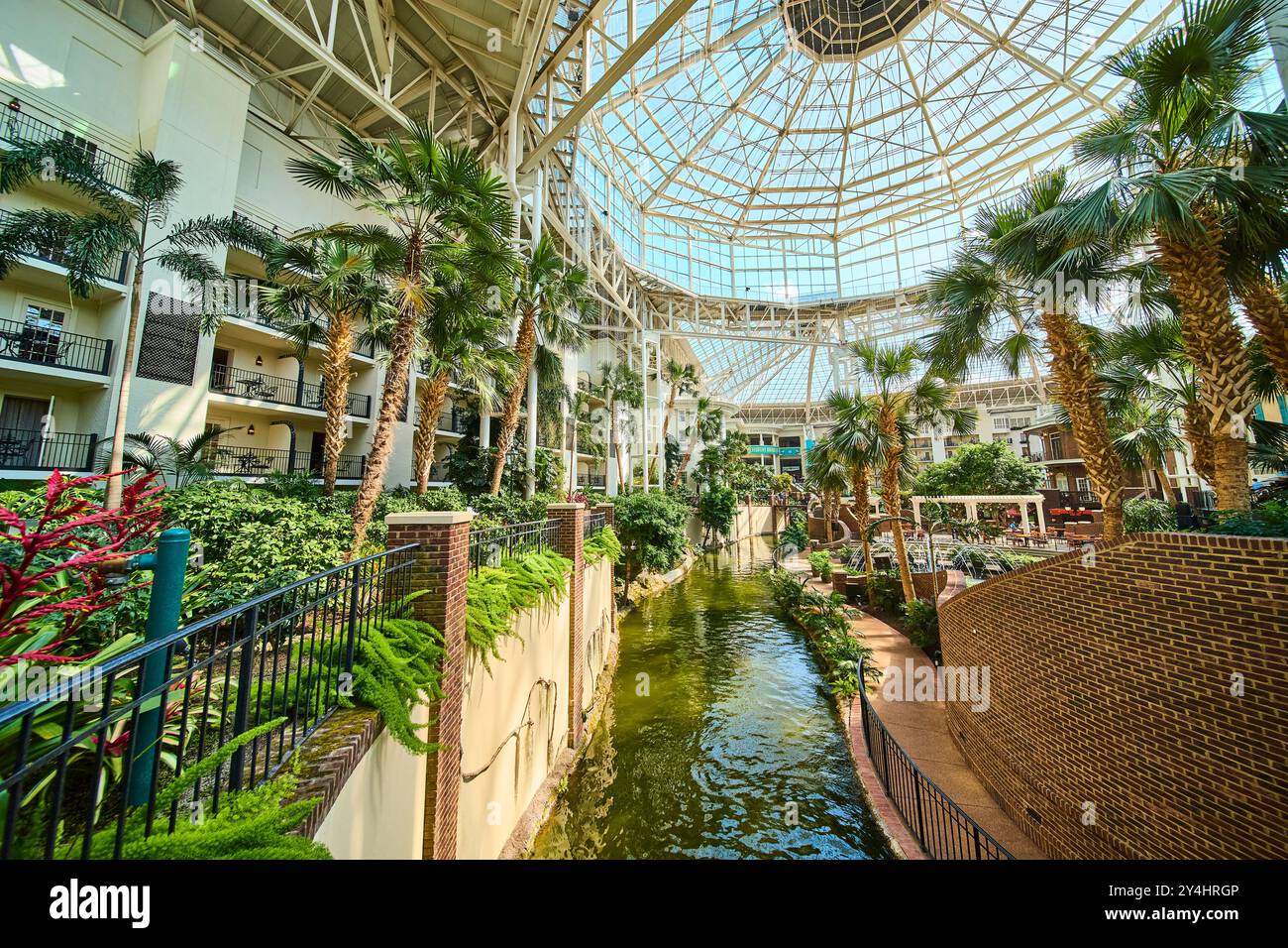 Tropical Atrium Oasis with Glass Roof and Waterway Eye-Level View Stock ...