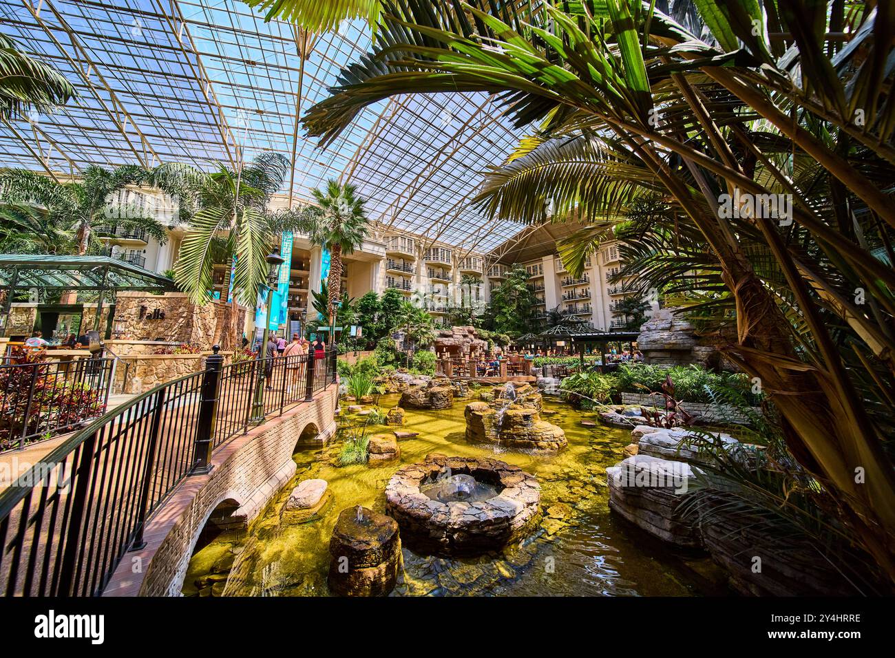 Tropical Indoor Oasis with Palm Trees and Stream Eye-Level View Stock ...