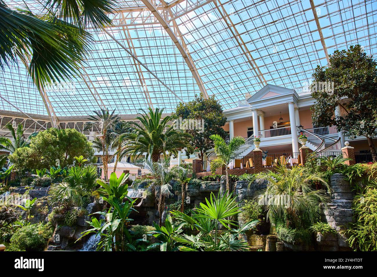 Tropical Atrium Oasis with Classical Architecture Eye-Level View Stock ...