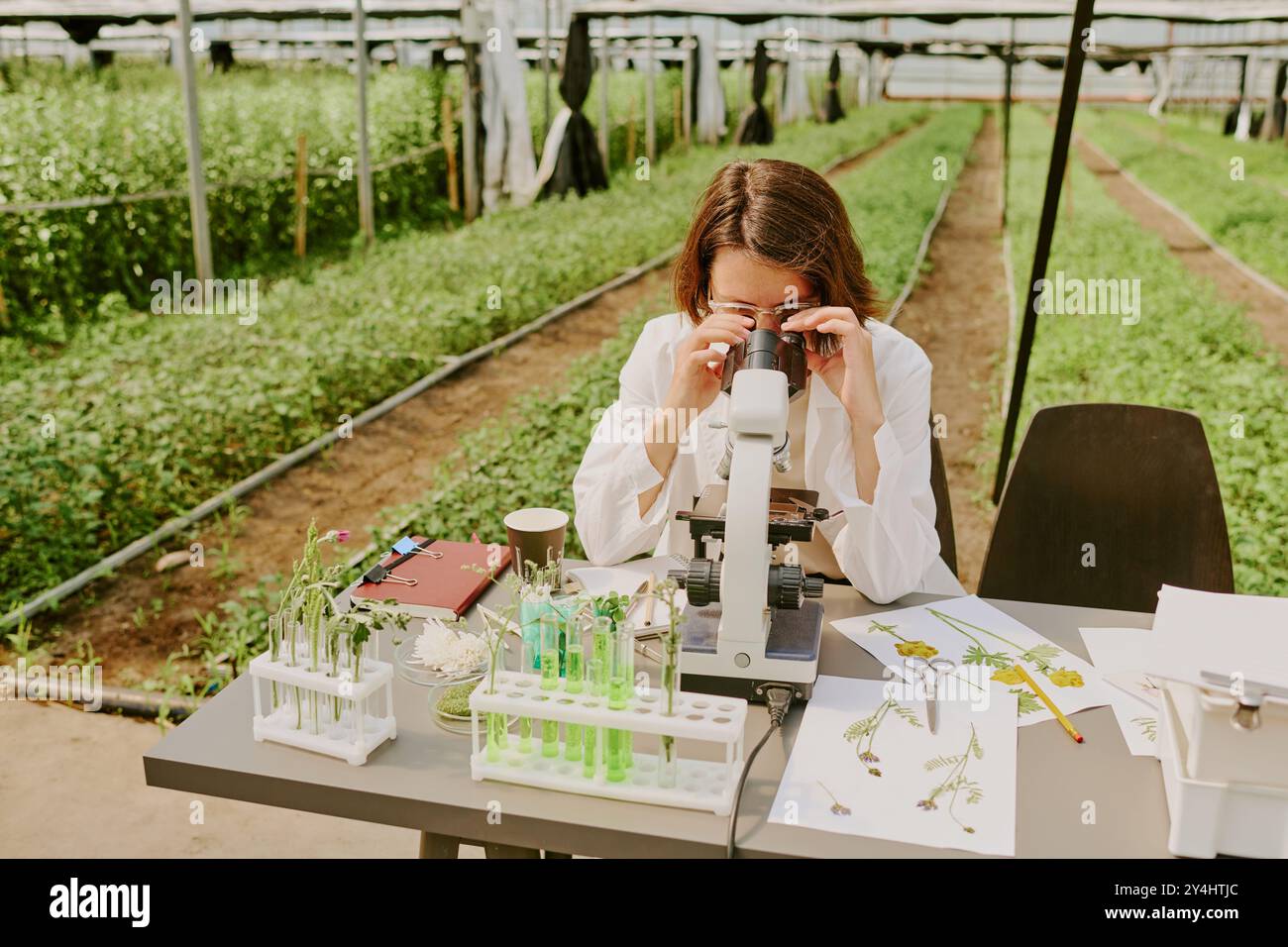 Observing Plants Through Microscope in Research Laboratory Stock Photo ...
