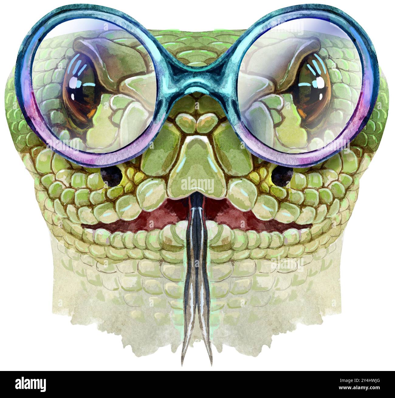 Snake head in a glasses isolated on white background. Green reptile ...