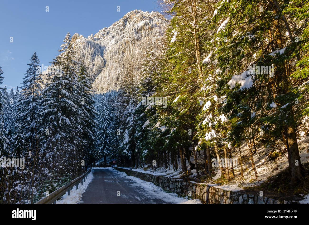Winter. International Mountain Day. Global Climbing Day. Winter ...