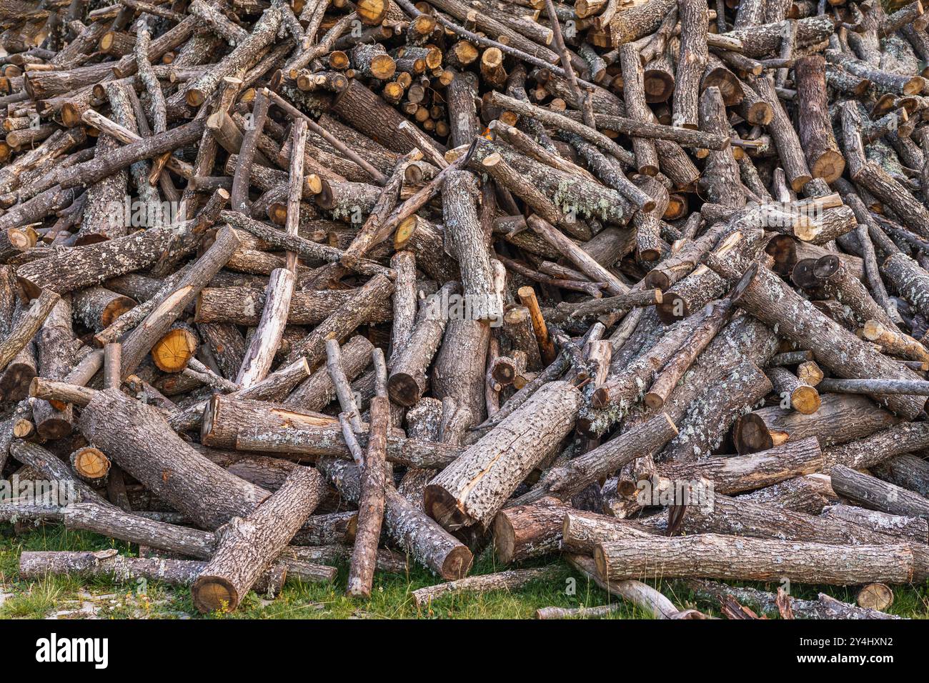 A vast pile of freshly cut logs stacked haphazardly in timber yard ...