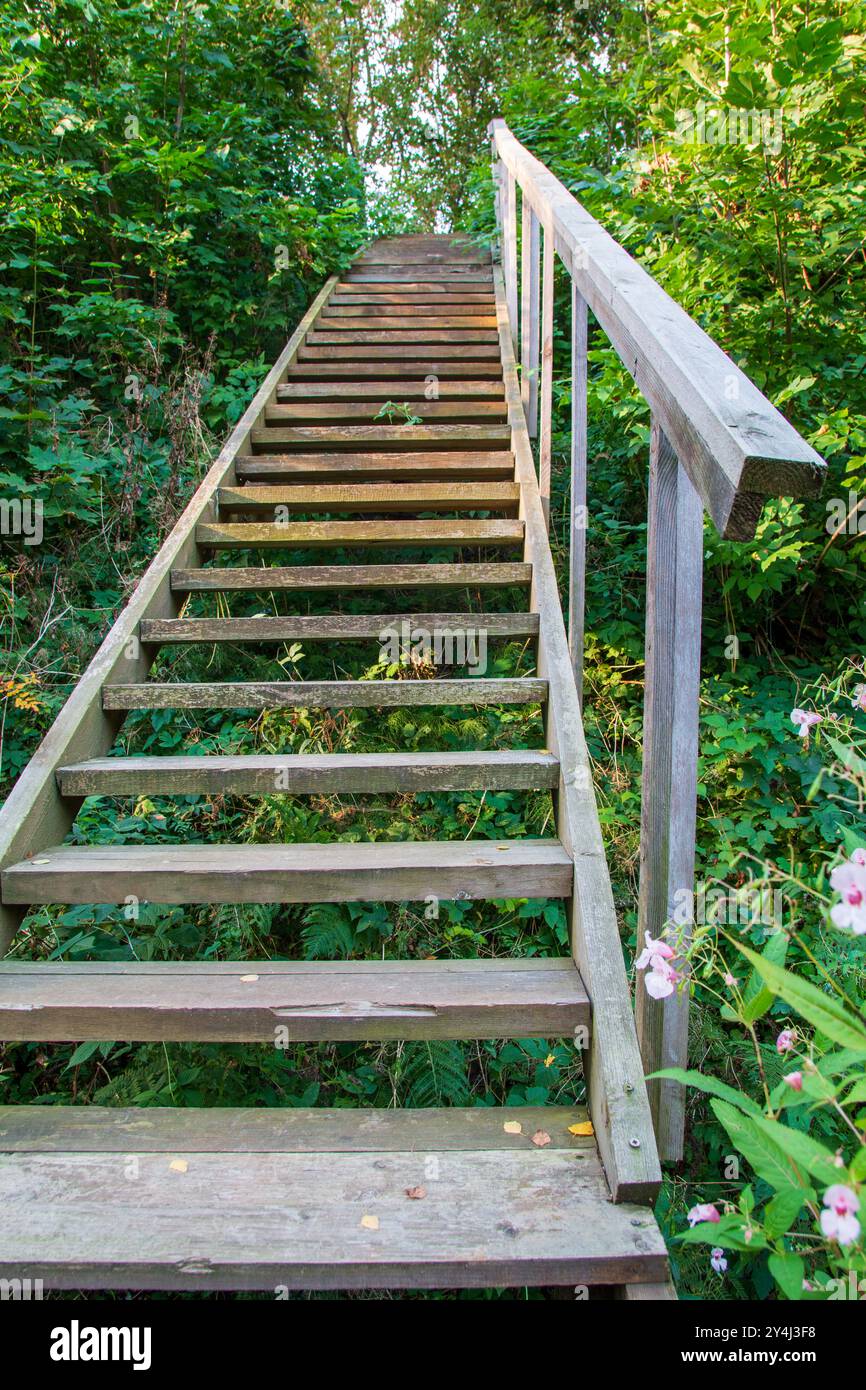 A staircase going into the distance Stock Photo - Alamy